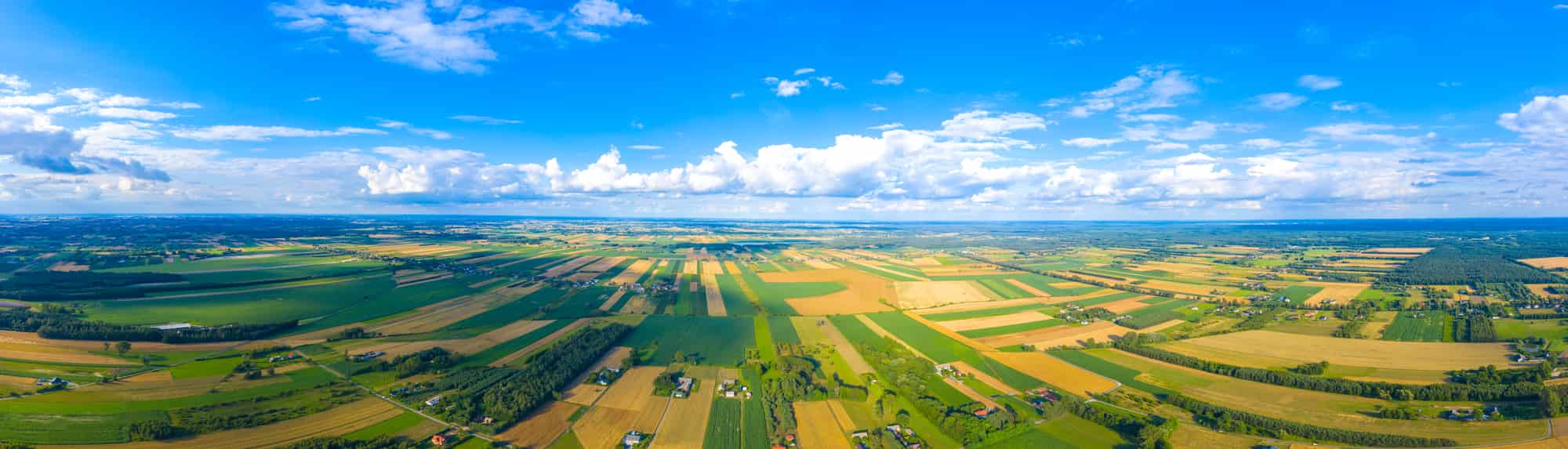 How To Find Property Lines For Free: A Homeowner's Guide