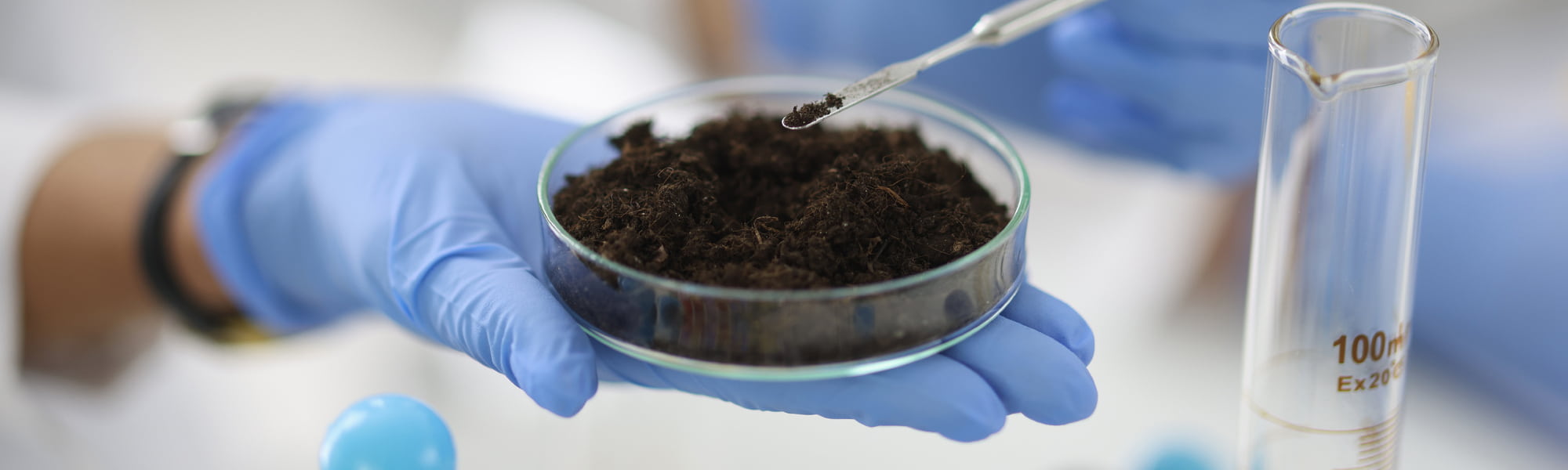 What Is A Perc Test & When Do You Need One? | FortuneBuilders